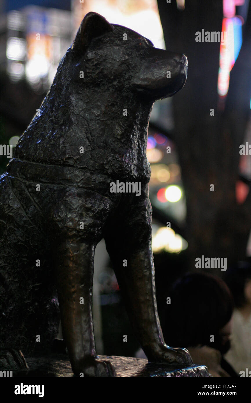Hachiko right side perspective night with background bokeh Stock Photo ...