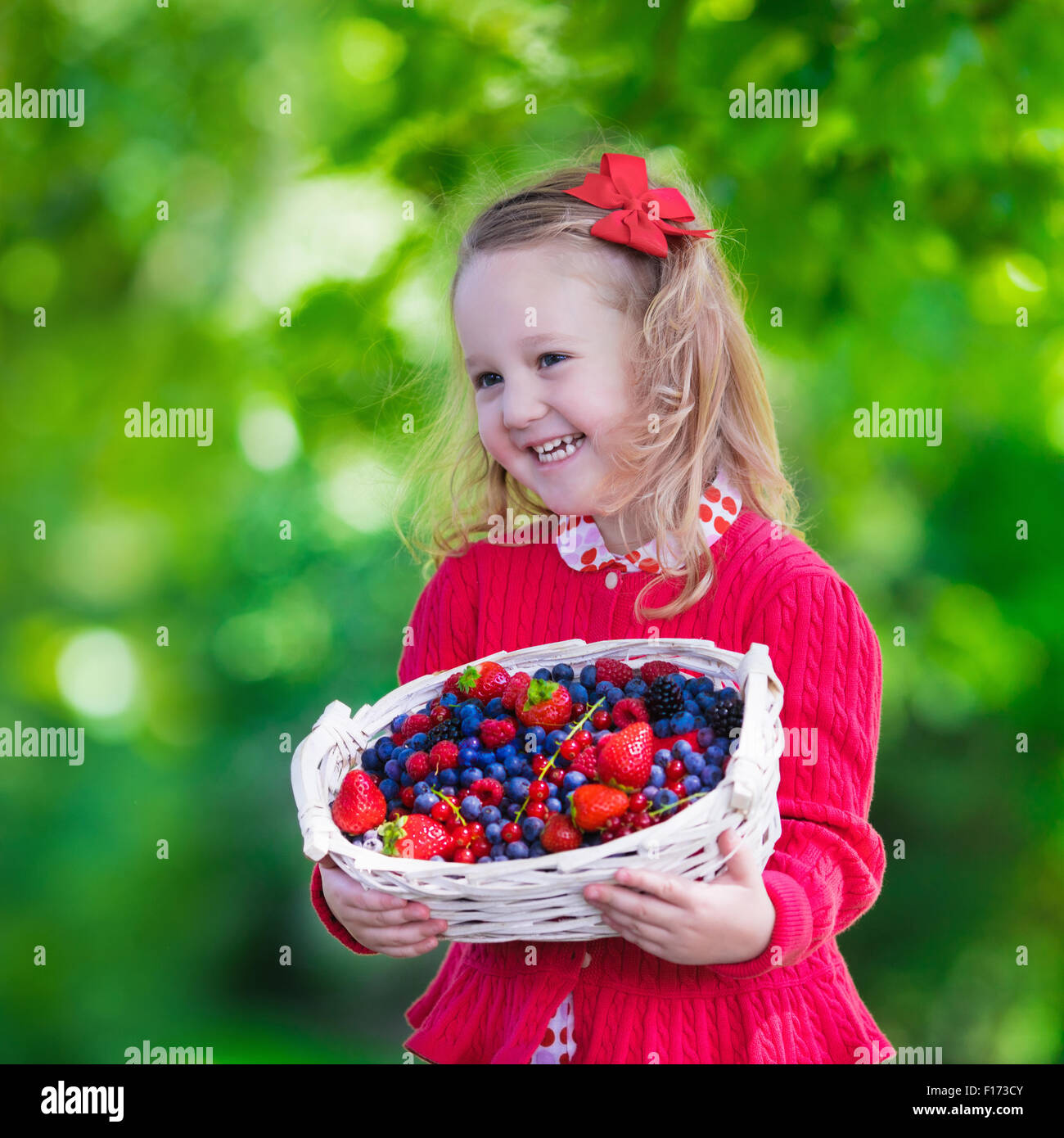 Child picking berries on a farm. Little girl eating strawberry ...