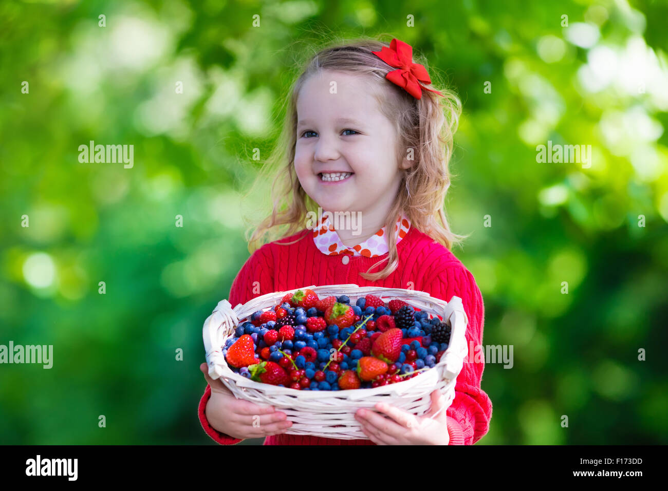 Child picking berries on a farm. Little girl eating strawberry ...
