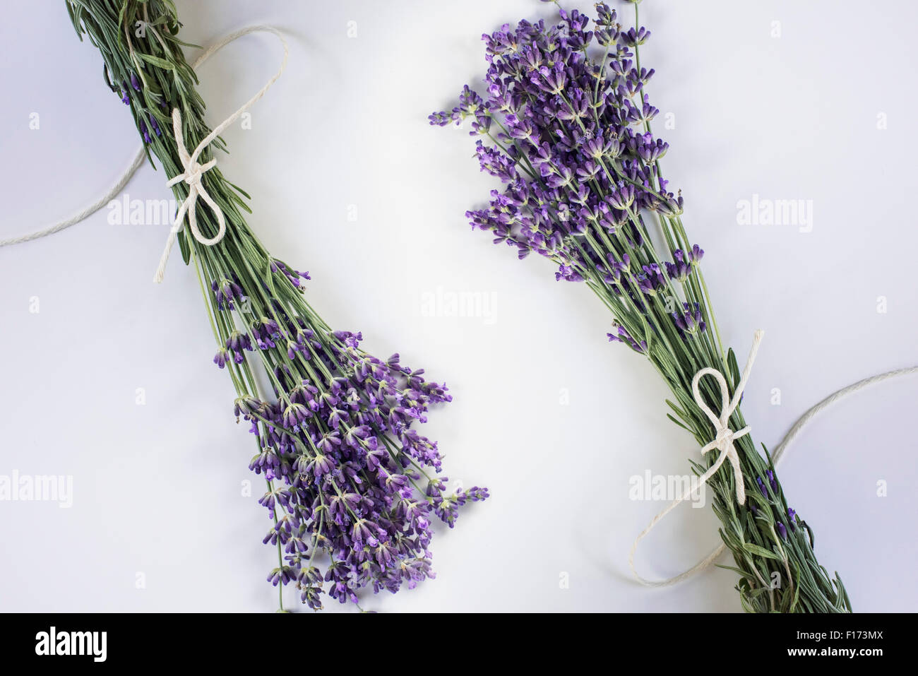 Lavender tied with string Stock Photo - Alamy