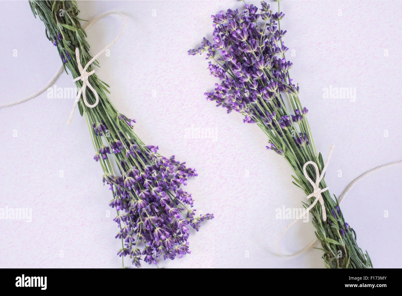 String of flowers hi-res stock photography and images - Alamy