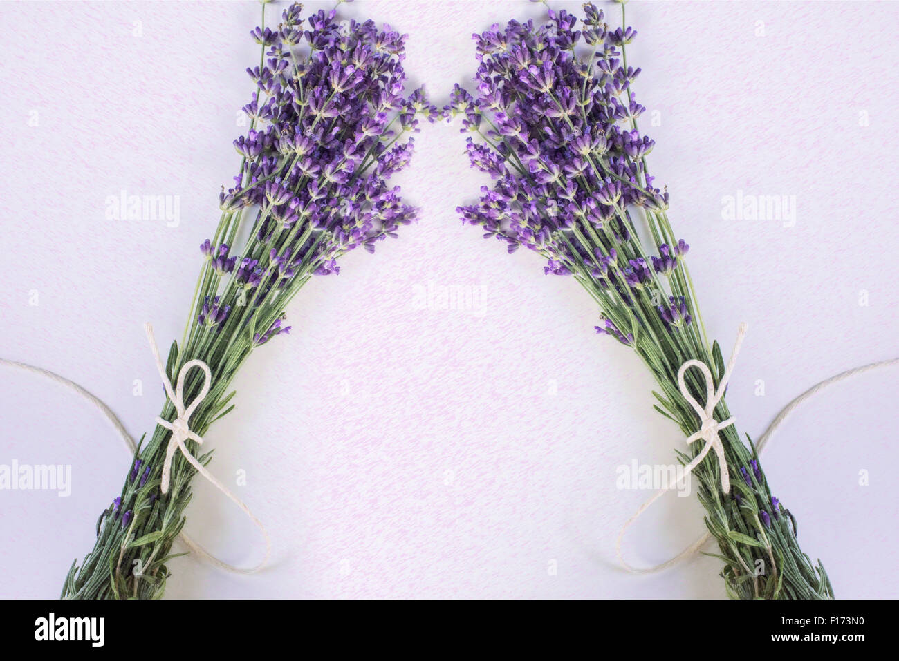 Lavender tied in a bunch with string Stock Photo - Alamy