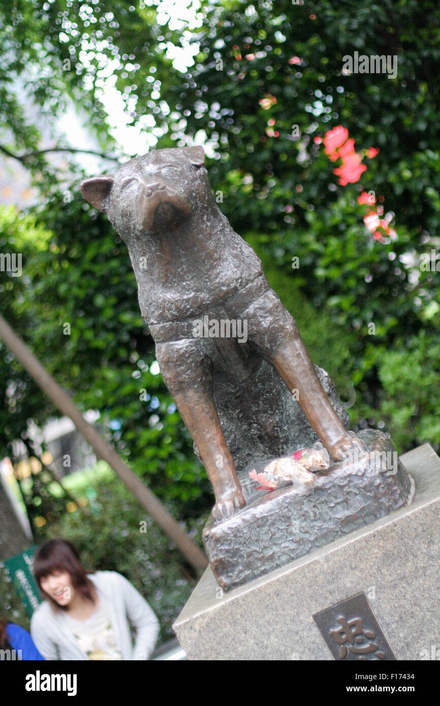 Hachiko akita dog hi-res stock photography and images - Alamy