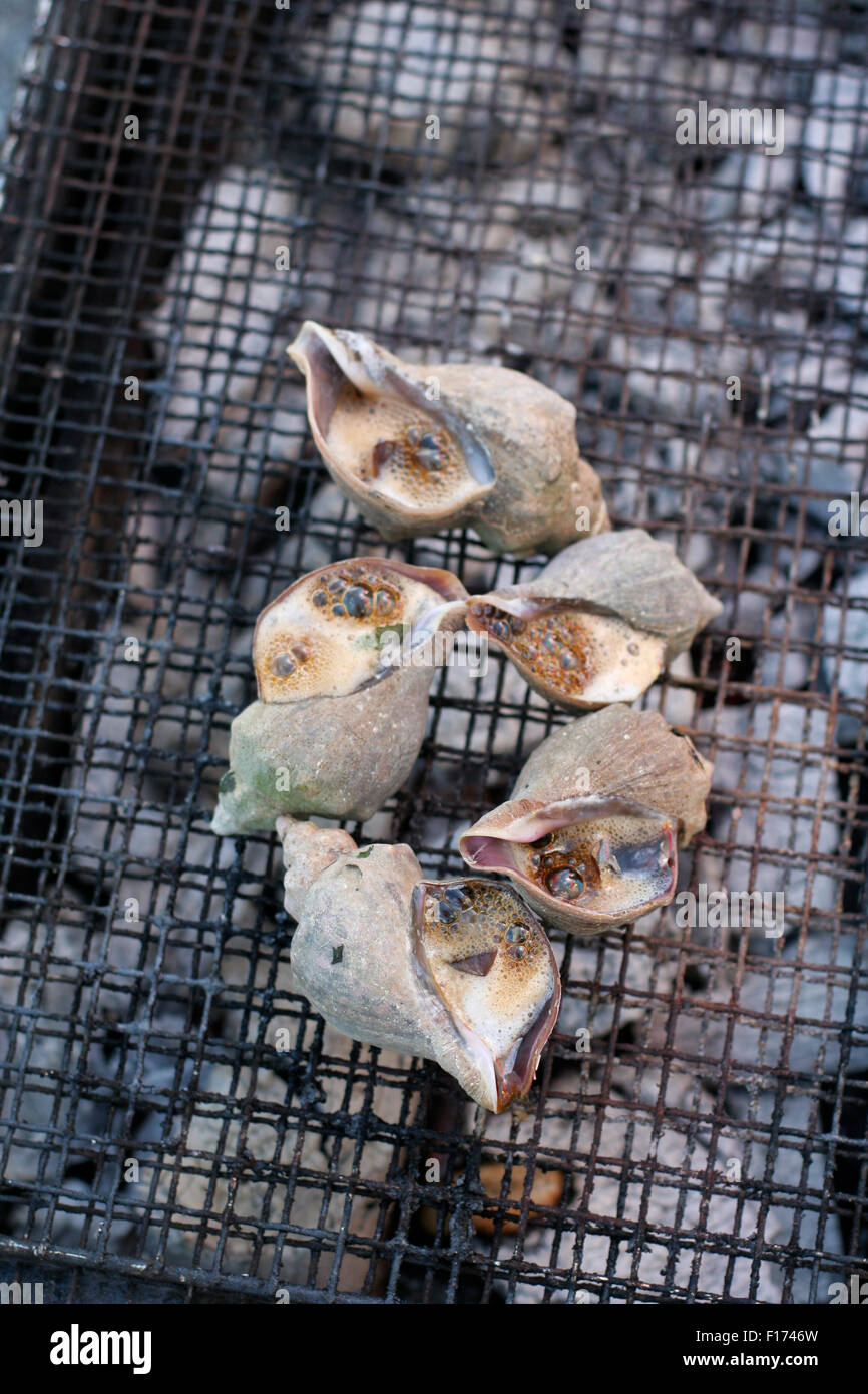 Snail seafood hi-res stock photography and images - Alamy