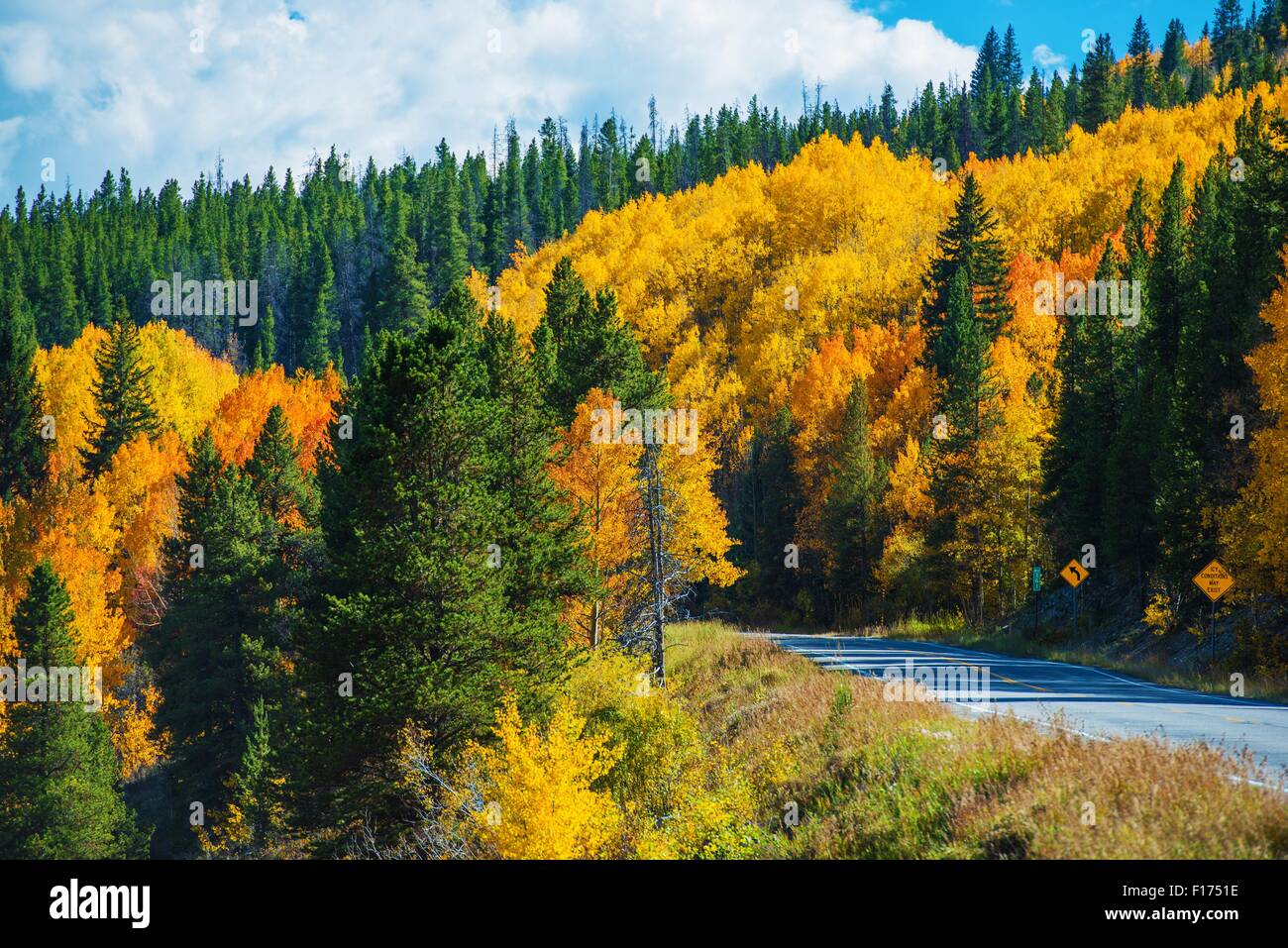 Scenic Fall Colorado Road. Autumn in Colorado Rocky Mountains Stock ...