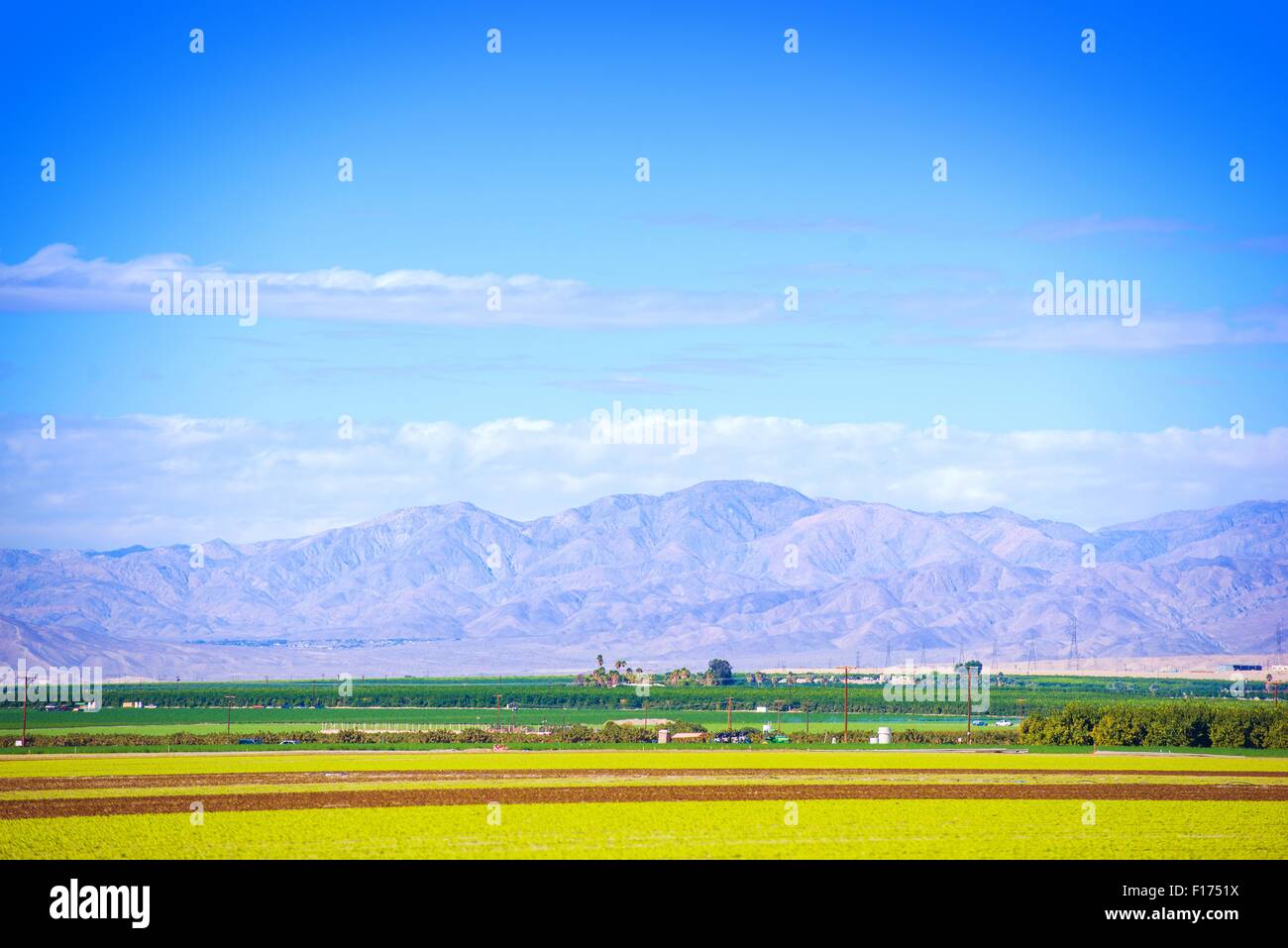 Southern California Farmlands. Coachella Valley Crop Fields Stock Photo ...