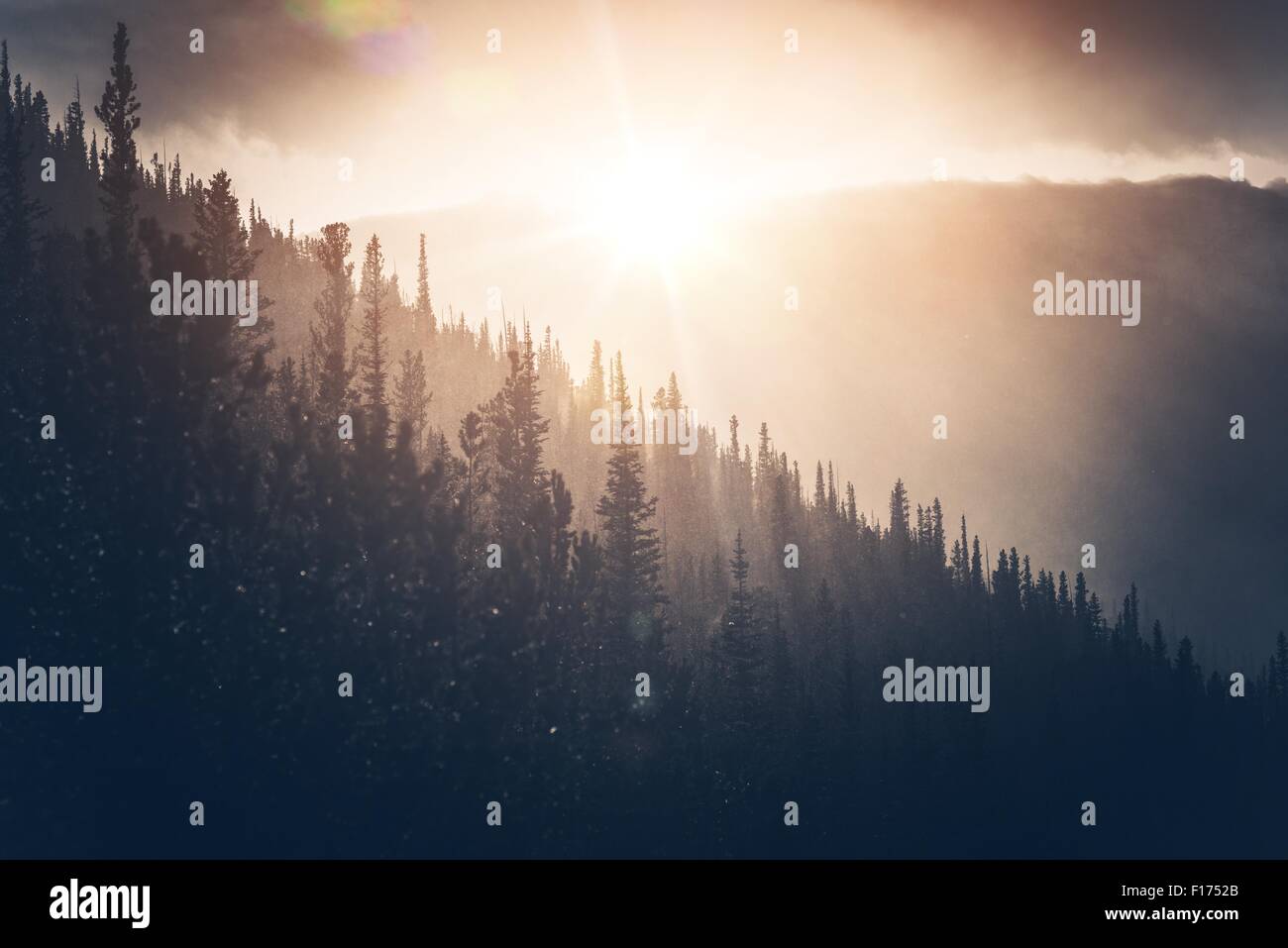 Ray hill hi-res stock photography and images - Alamy