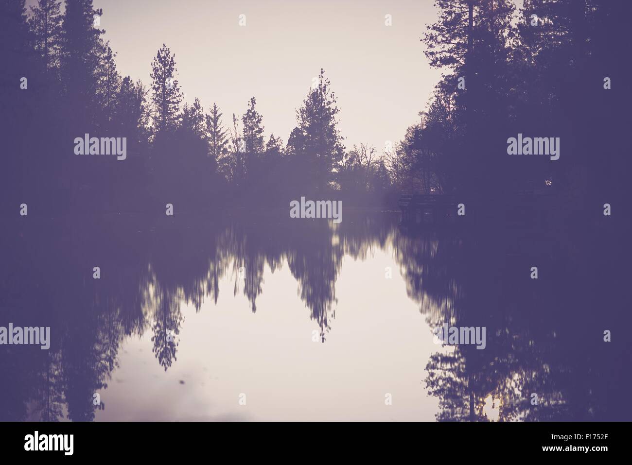 The Foggy Lake Scenery. California Foggy Lake in Purple Color Grading ...
