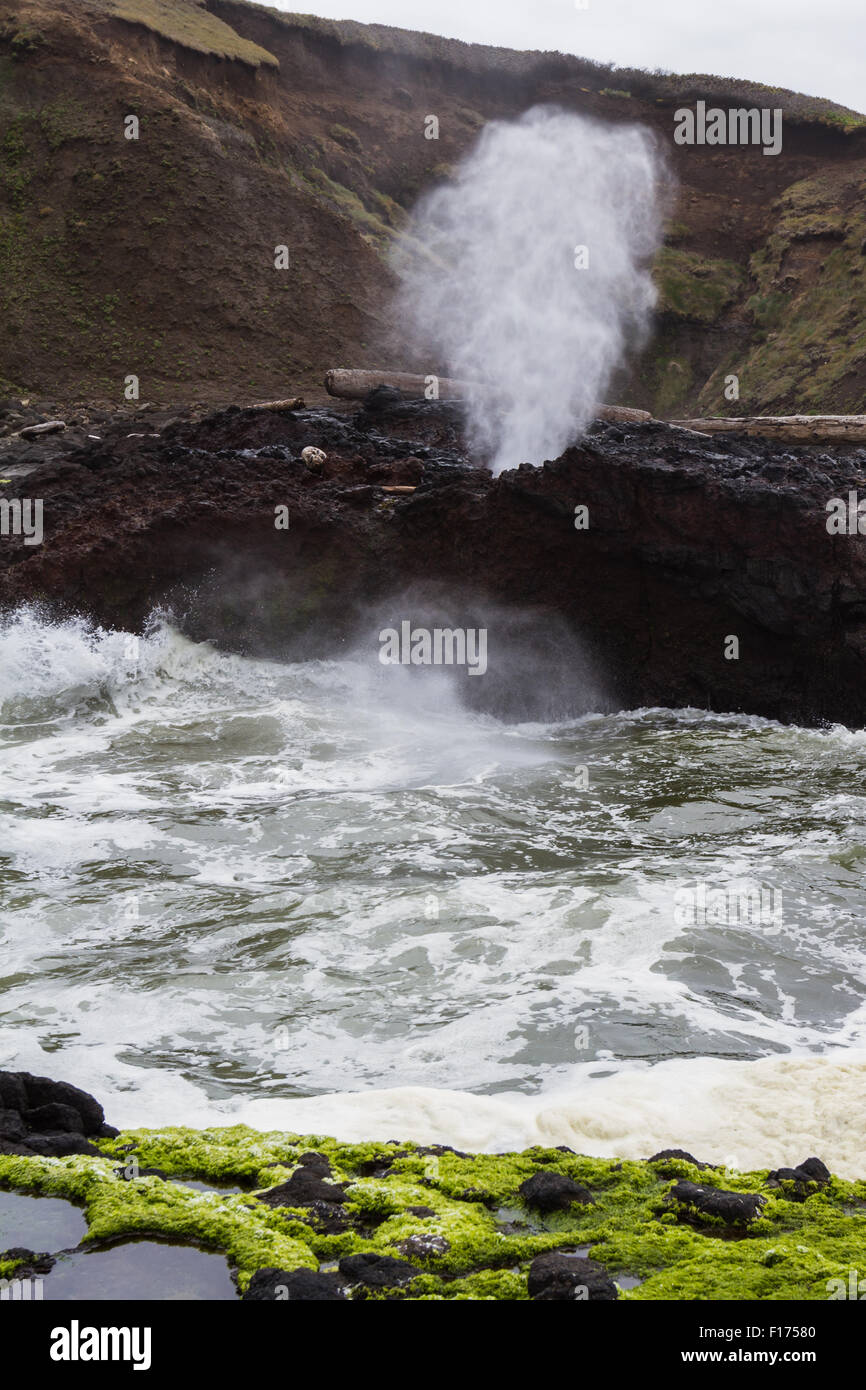 Spouting Horn is a natural anomaly where the water is forced thru the ...