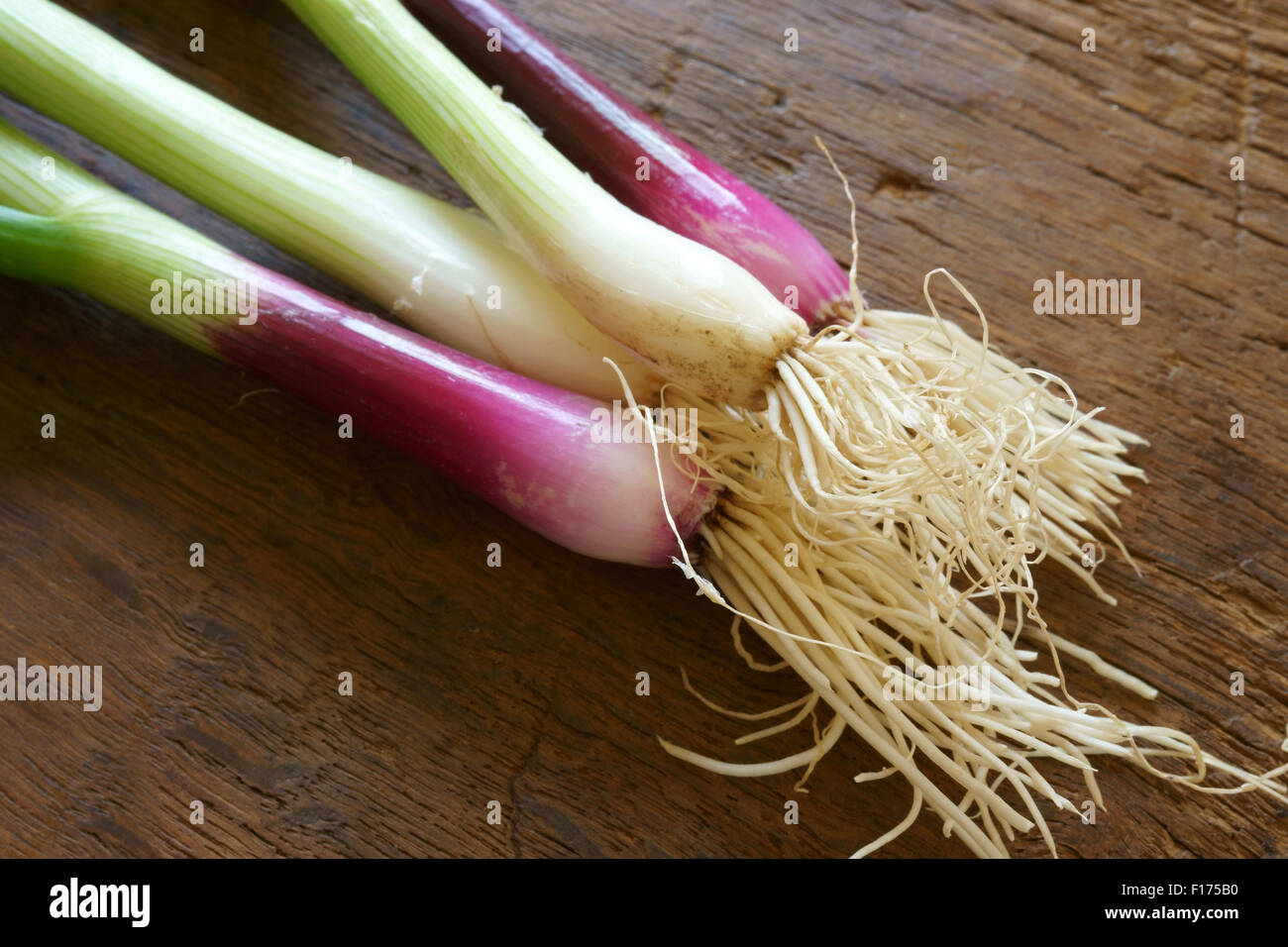 Red spring onion on rustic wooden table Stock Photo - Alamy