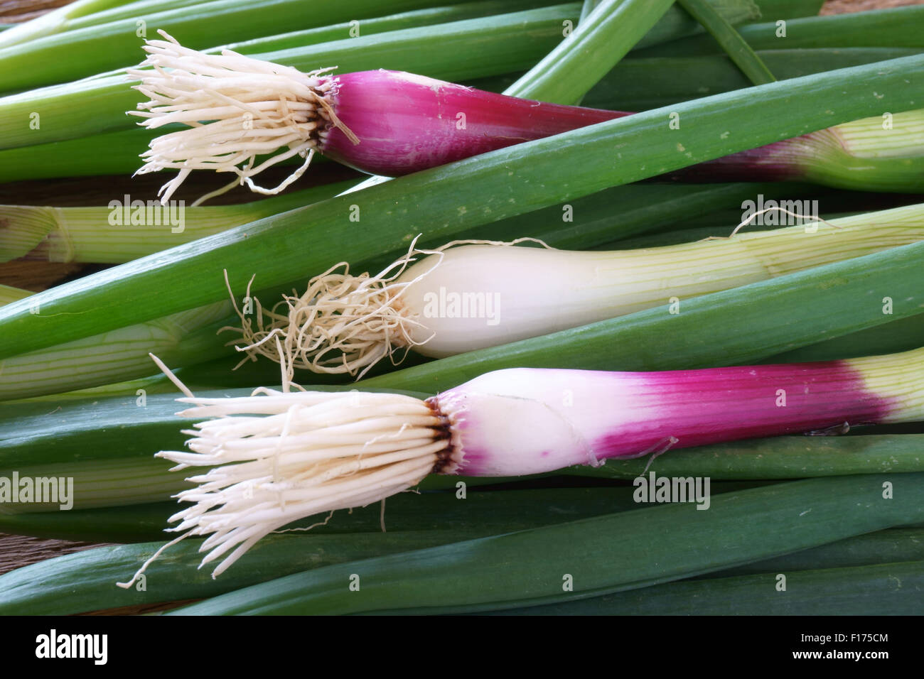 Background made of fresh red spring onions Stock Photo - Alamy