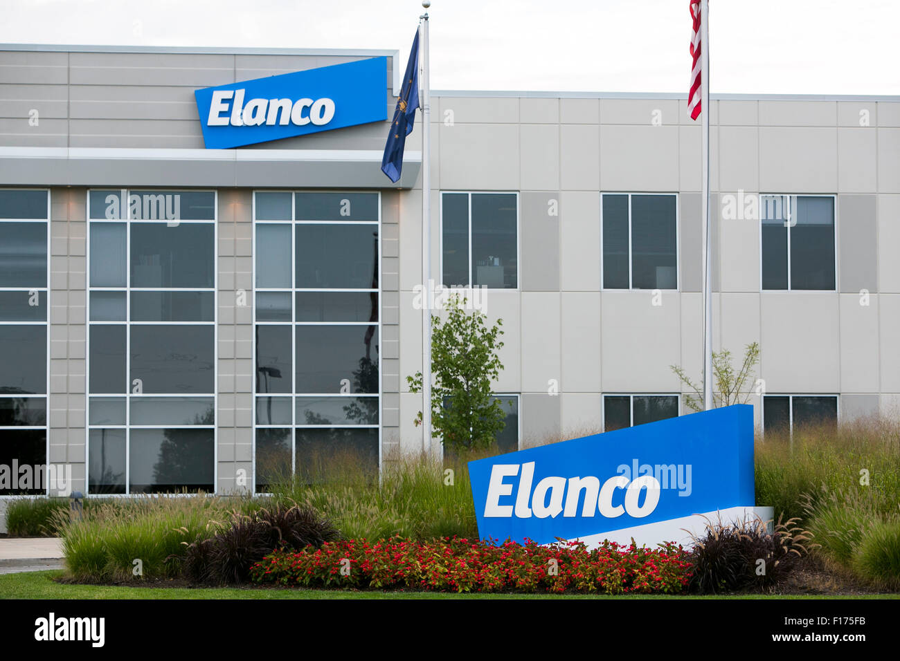 Animal health hi-res stock photography and images - Alamy