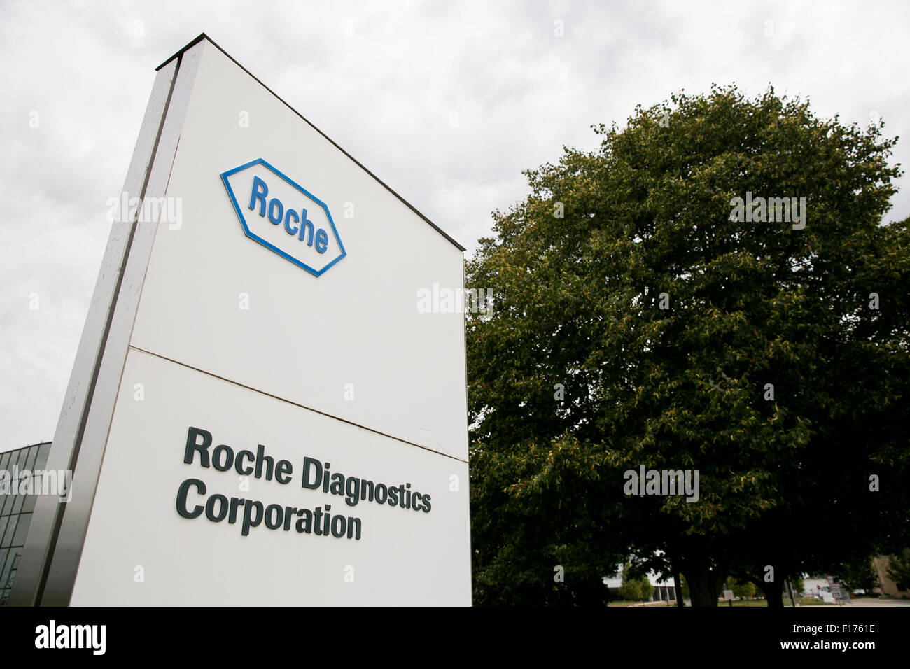 Roche Diagnostics Logo