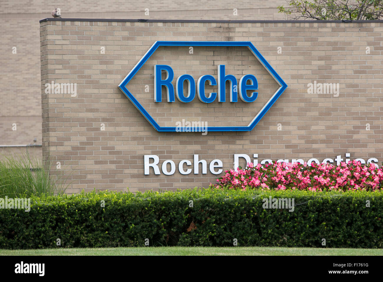 Roche Diagnostics Logo About Roche
