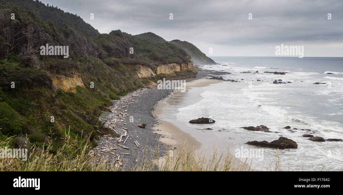 Desolate beach in the Central Oregon coast with its typical grey skies ...
