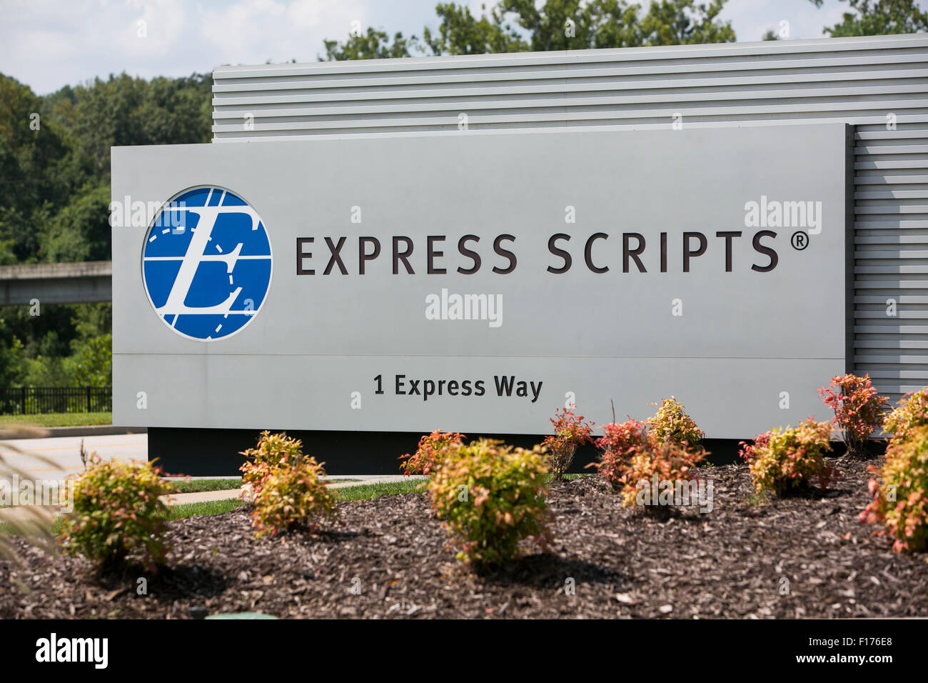 Express Scripts Logo