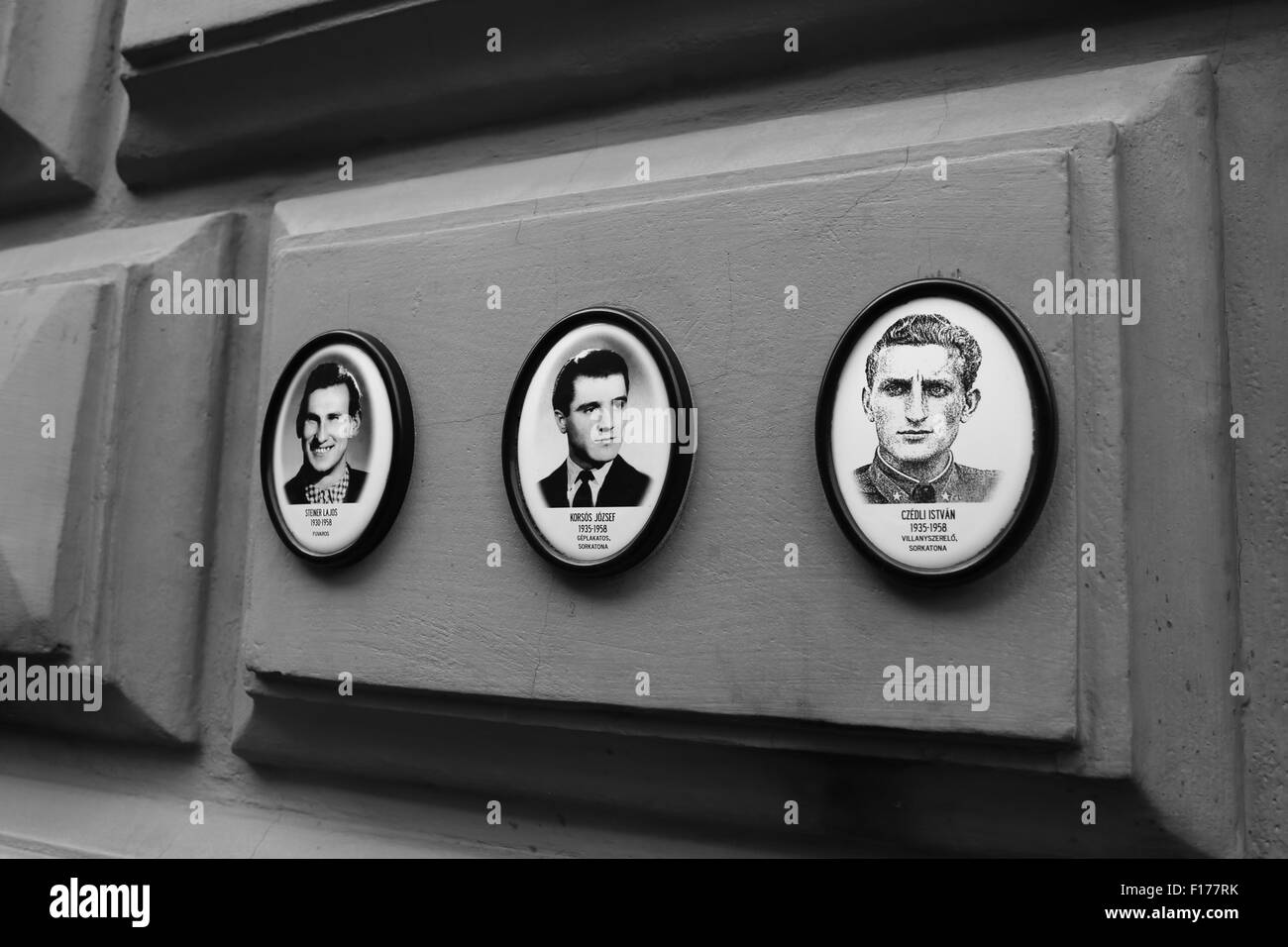 Photographs of people executed in 1956/1957 on the wall of the House of ...