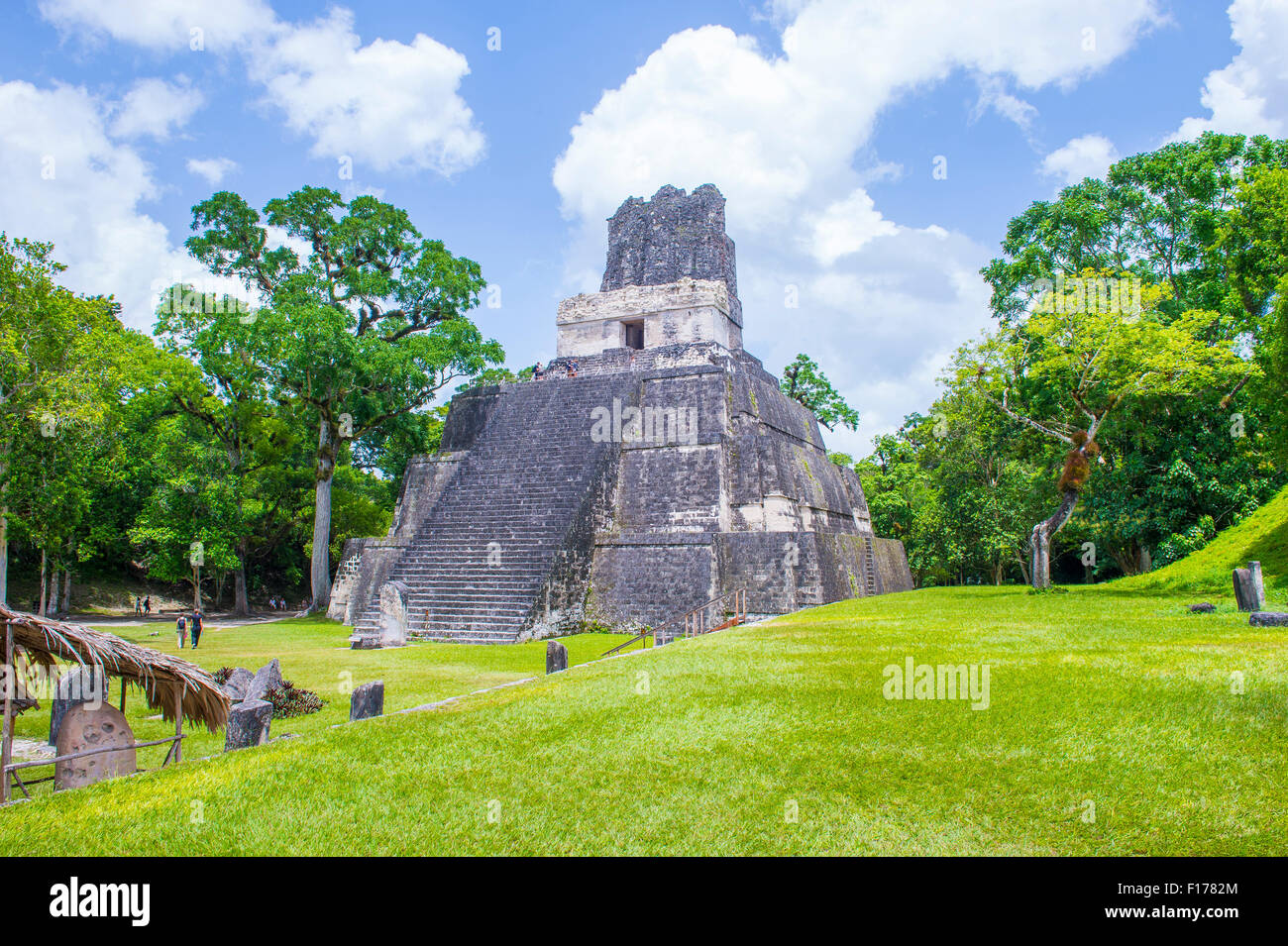 The archaeological site of the pre-Columbian Maya civilization in Tikal ...