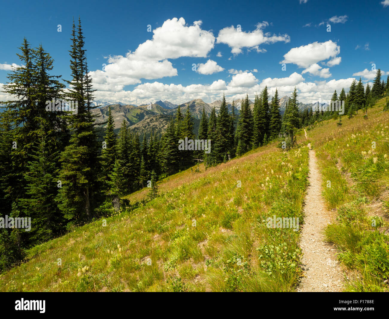 Pct washington hi-res stock photography and images - Alamy