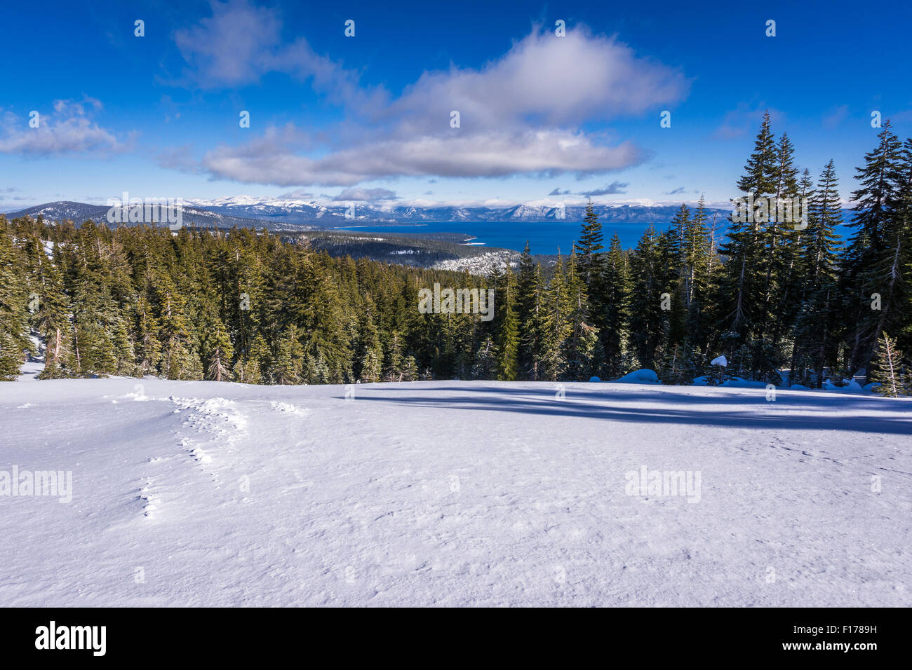 Lake Tahoe from Alpine Meadows ski area, Squaw Valley, California Stock ...