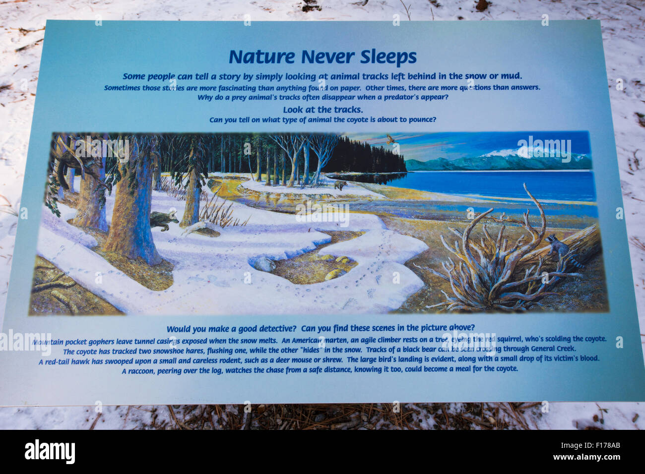 Interpretive sign at Ehrman Mansion, Sugar Pine Point State Park, Lake ...