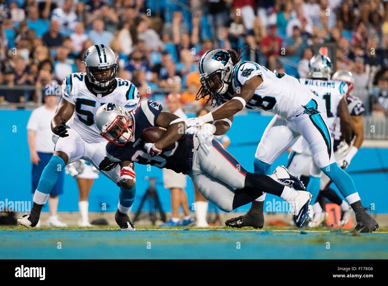 Robert Lester Panthers