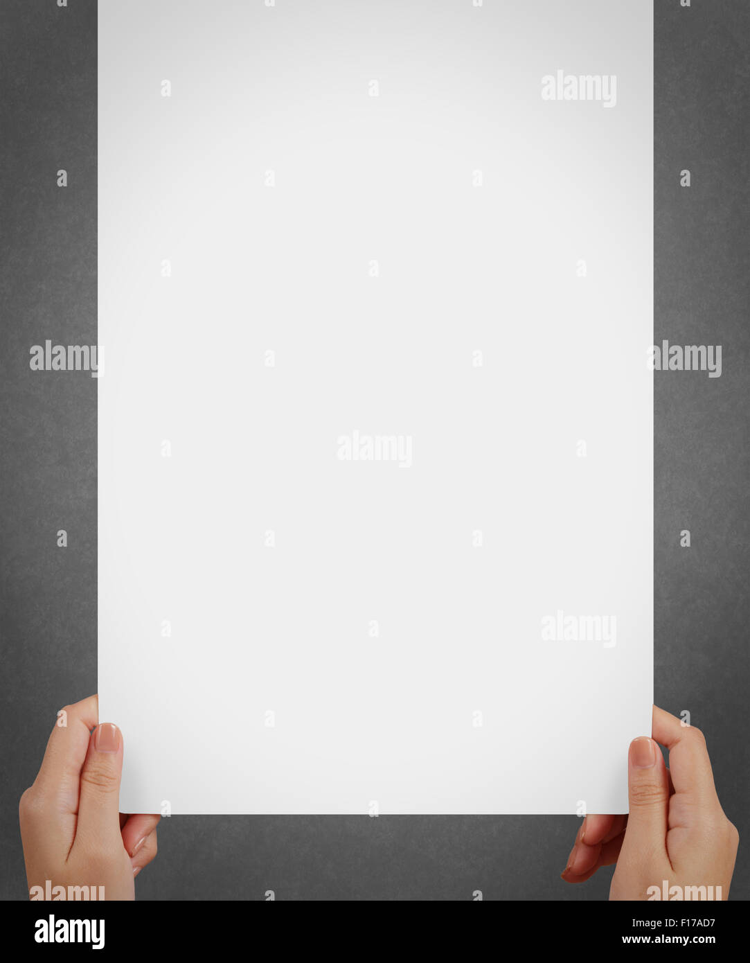 hand holding a blank paper sheet with both hands as concept Stock Photo ...