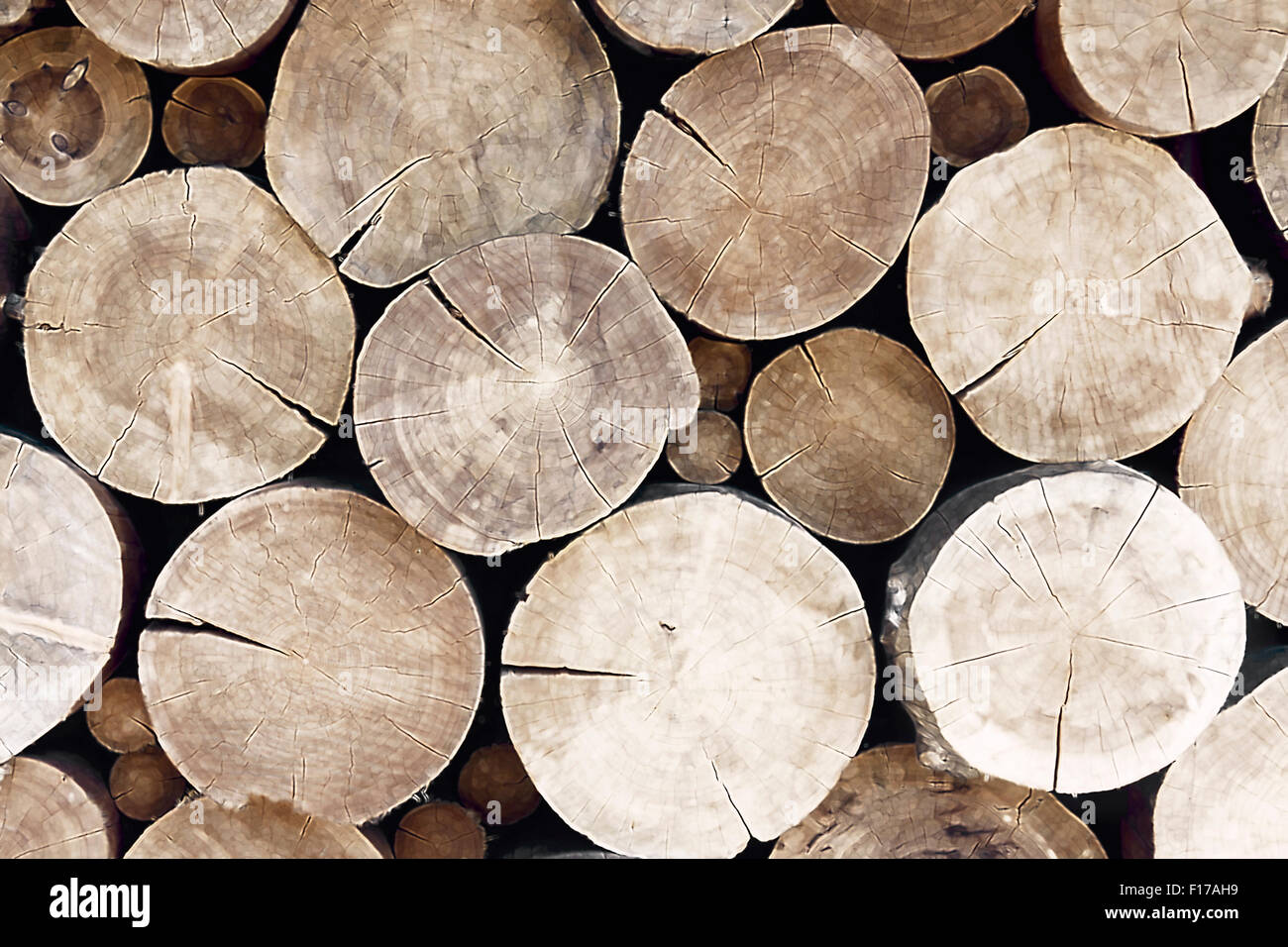 Cracked cut thick tree hi-res stock photography and images - Alamy