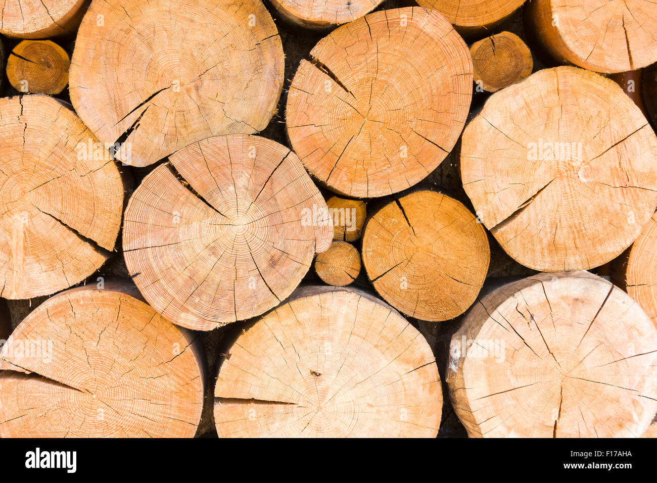 Many large and thick cracked tree beams in a pile Stock Photo - Alamy