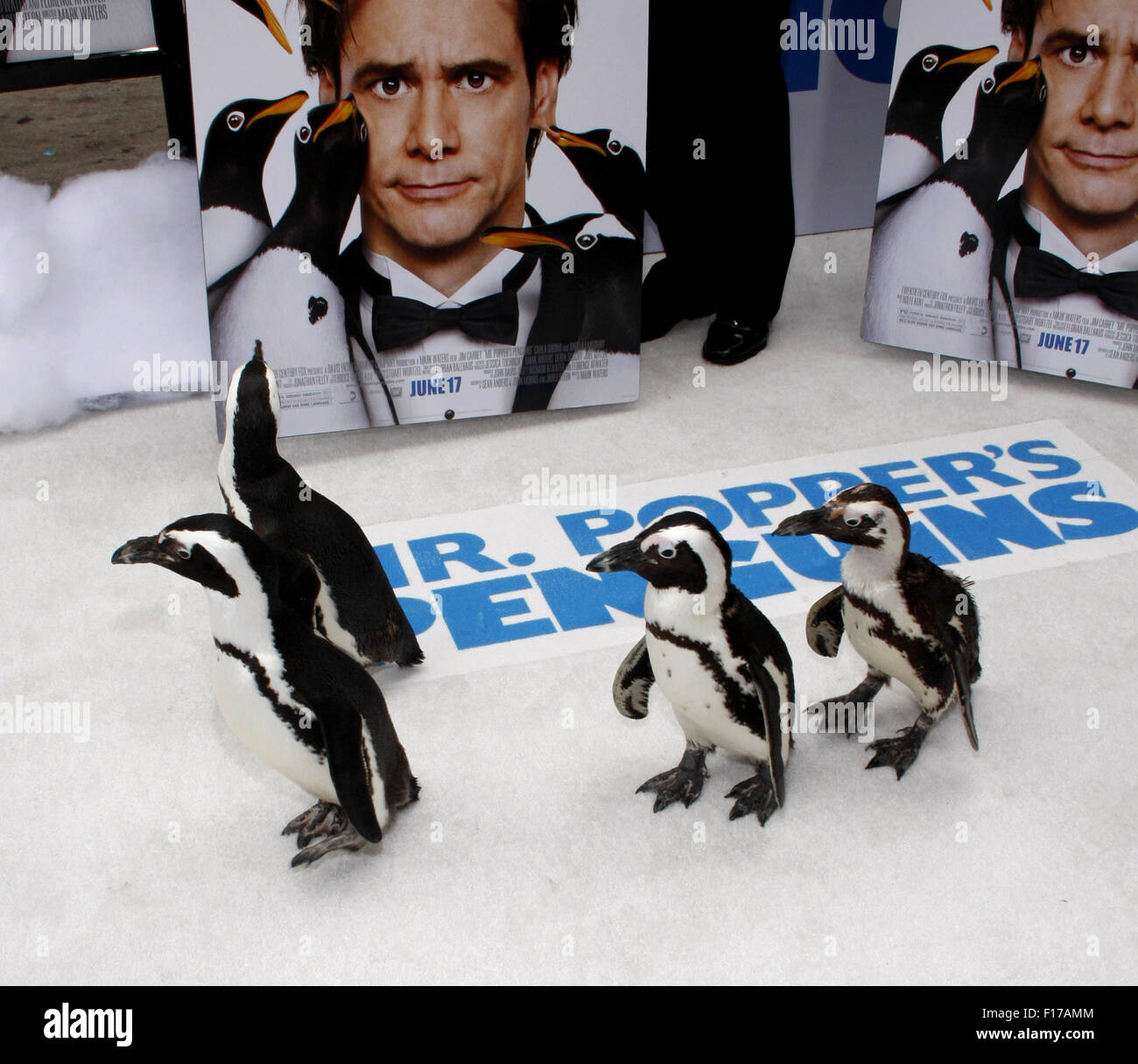 Mr Popper's Penguins Stock Photos & Mr Popper's Penguins Stock Images ...