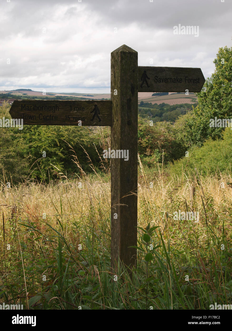 Savernake forest uk hi-res stock photography and images - Alamy
