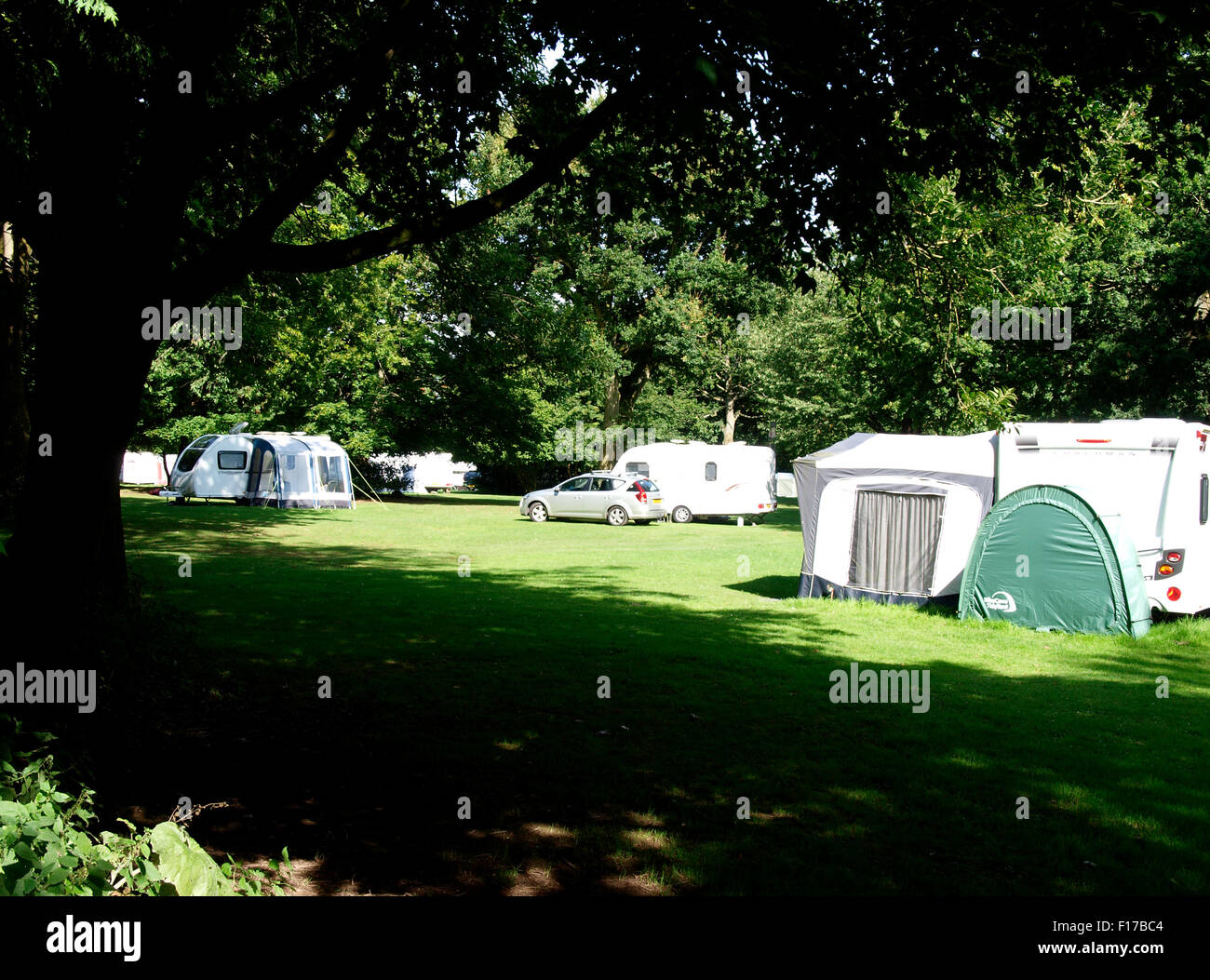 Savernake forest hill hi-res stock photography and images - Alamy