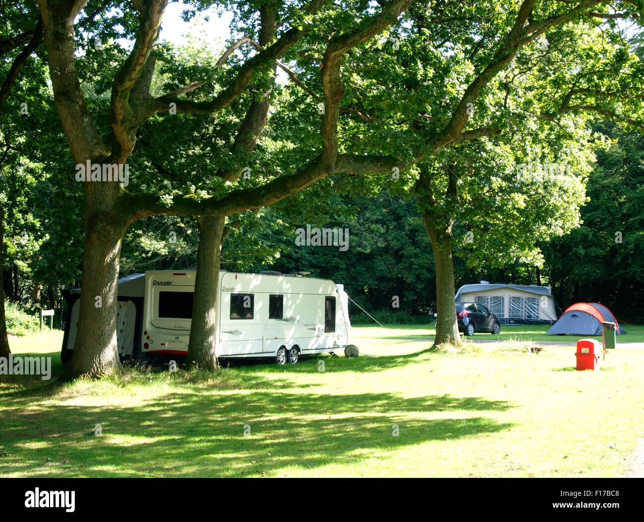 Savernake Forest Marlborough Stock Photos & Savernake Forest ...
