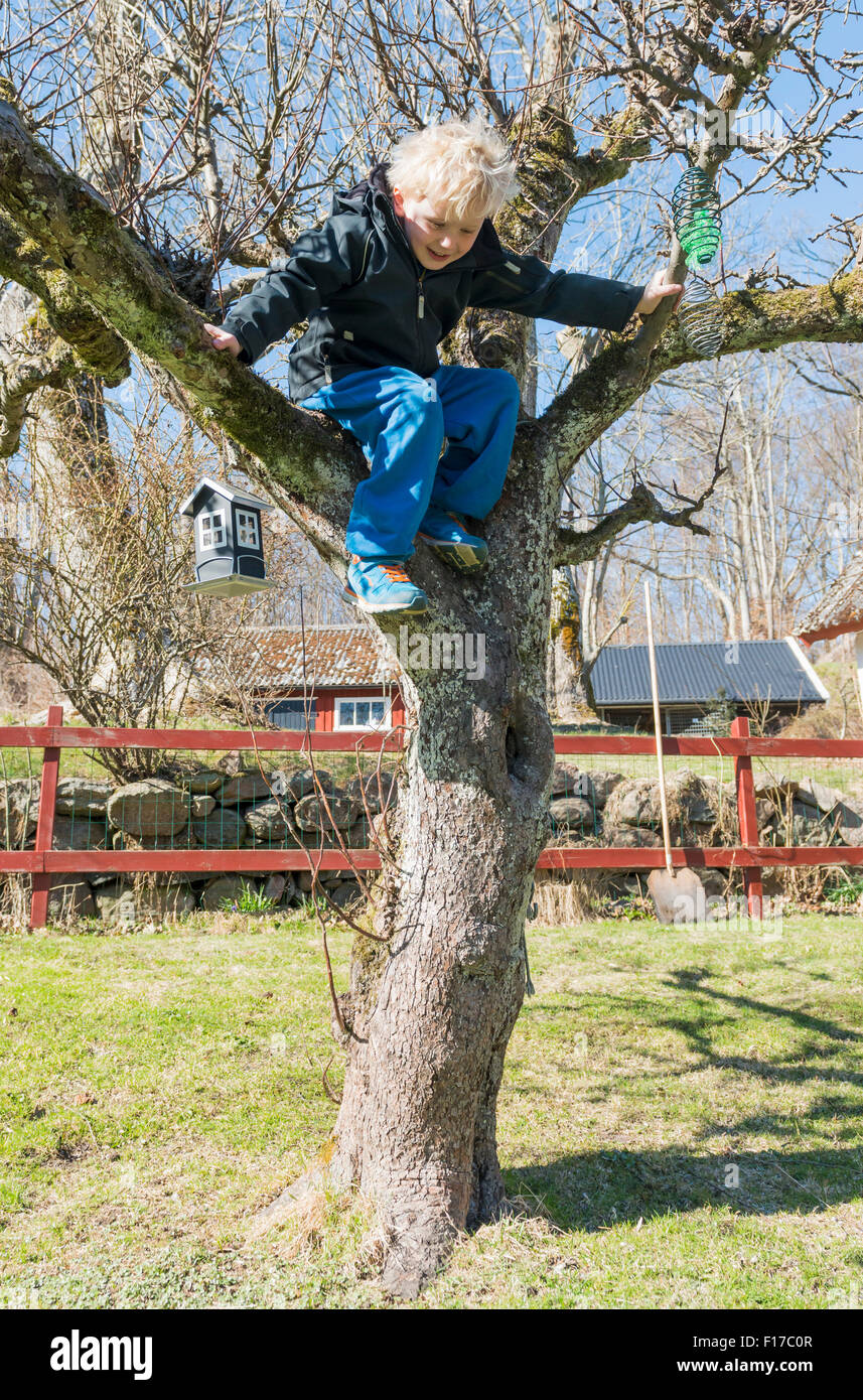 Young boy climbing a tree Stock Photo - Alamy