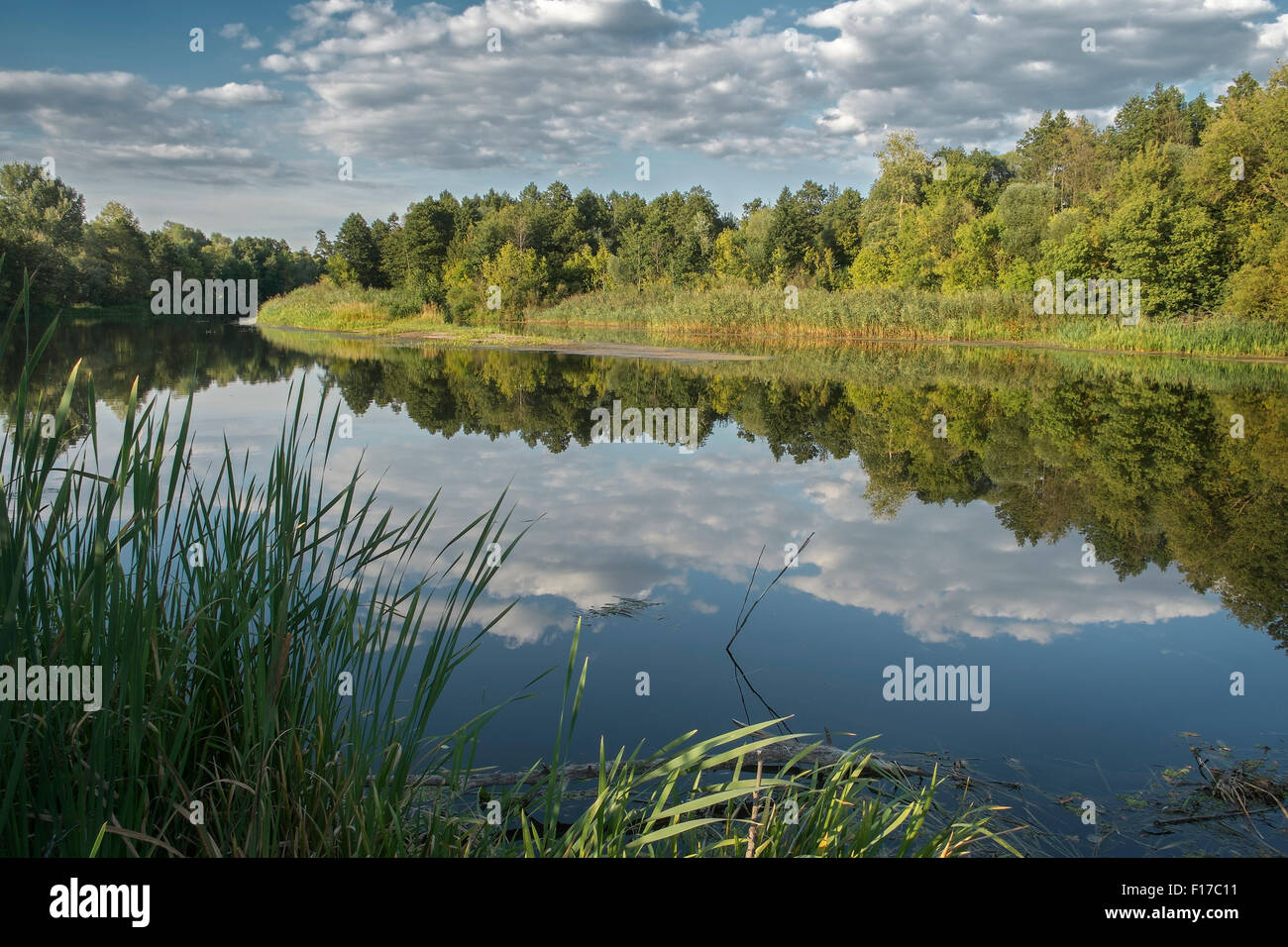 Clouds over river in forest Stock Photo - Alamy