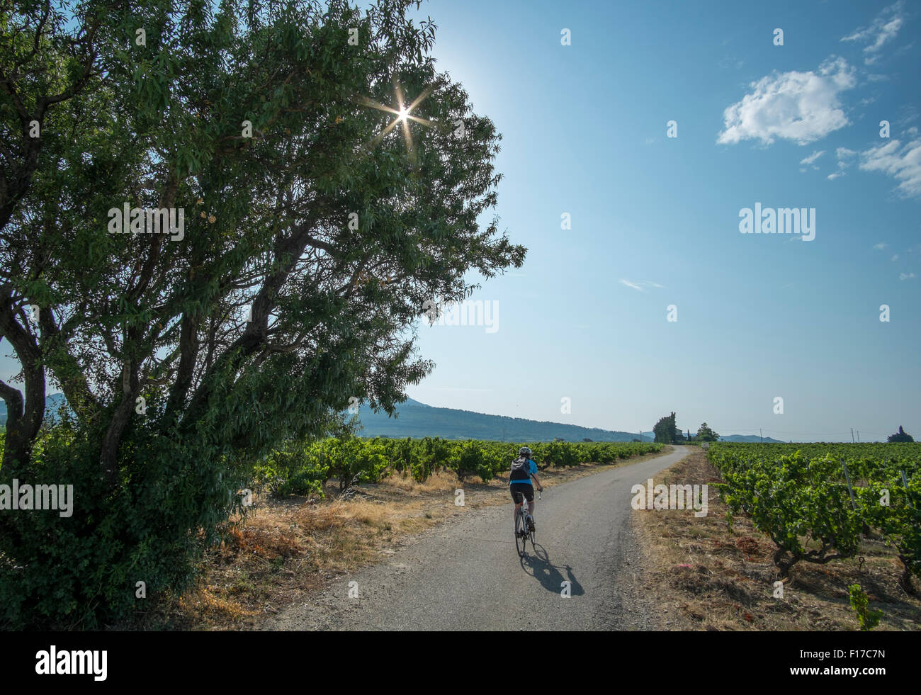Cycling through vineyard hi-res stock photography and images - Alamy