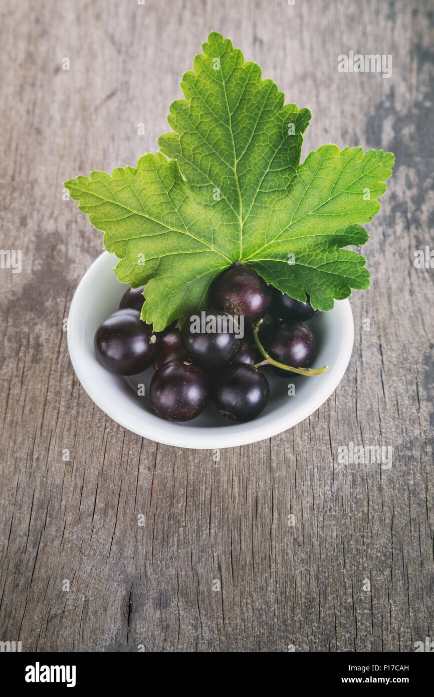 Harvest black currant hi-res stock photography and images - Alamy