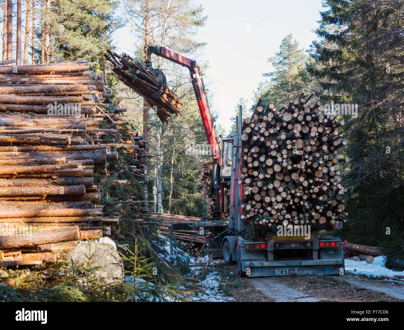 Forestry timber truck hi-res stock photography and images - Alamy
