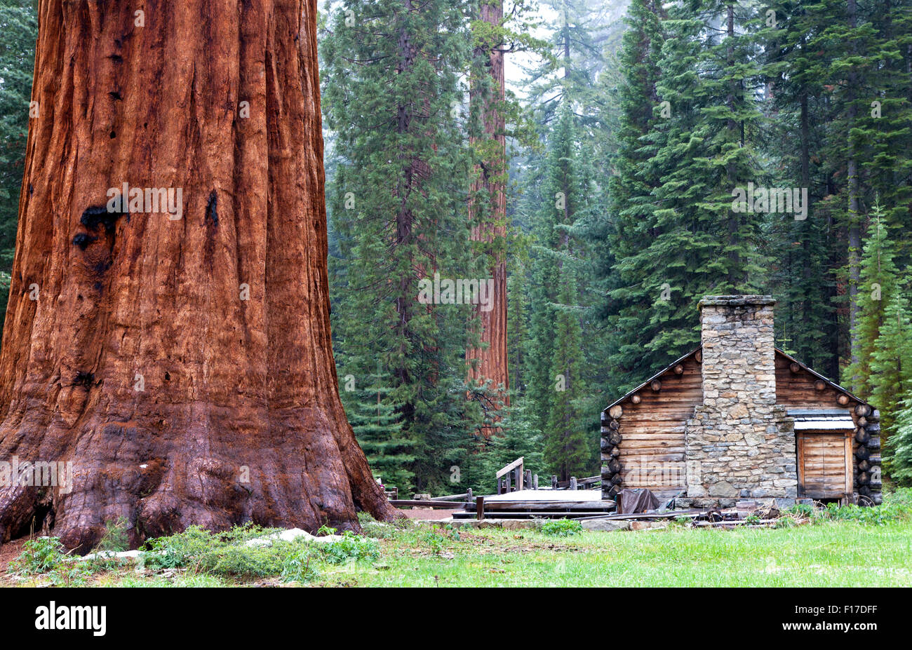 The Mariposa Grove Museum, Yosemite National Park, California, USA ...