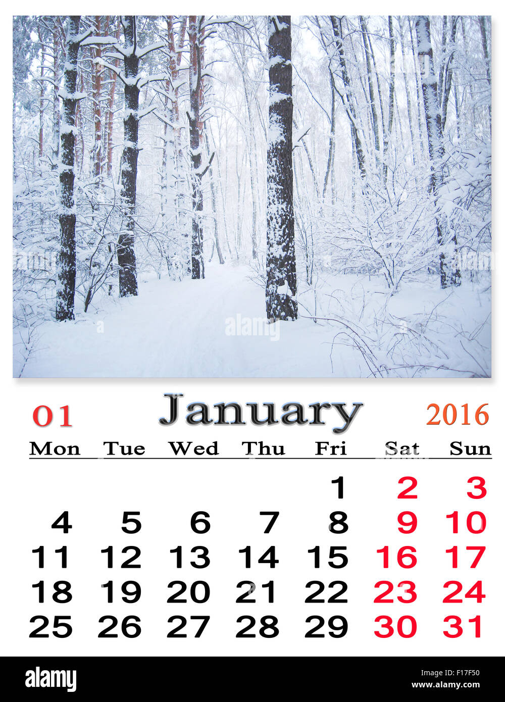 beautiful calendar for January 2016 with snowy birch forest Stock Photo ...