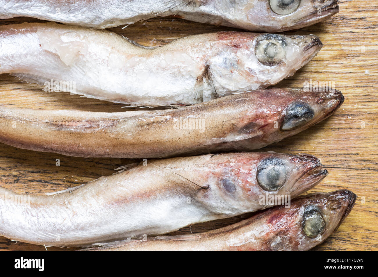 Fish Carcasses High Resolution Stock Photography and Images - Alamy