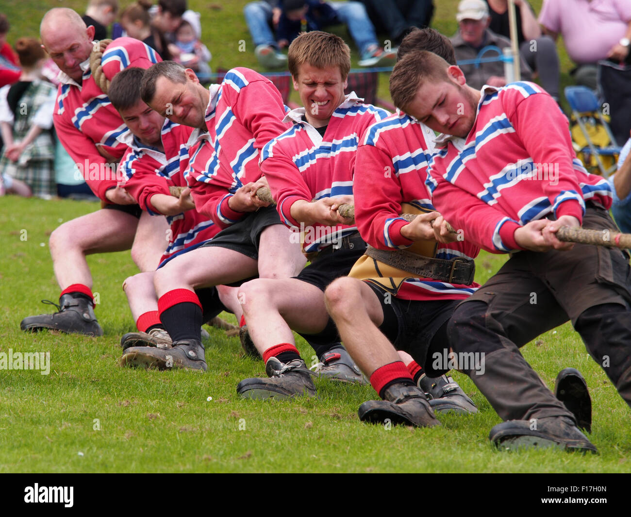 Dufftown, Scotland - July 25, 2015: Tug of War contest at a Scottish ...