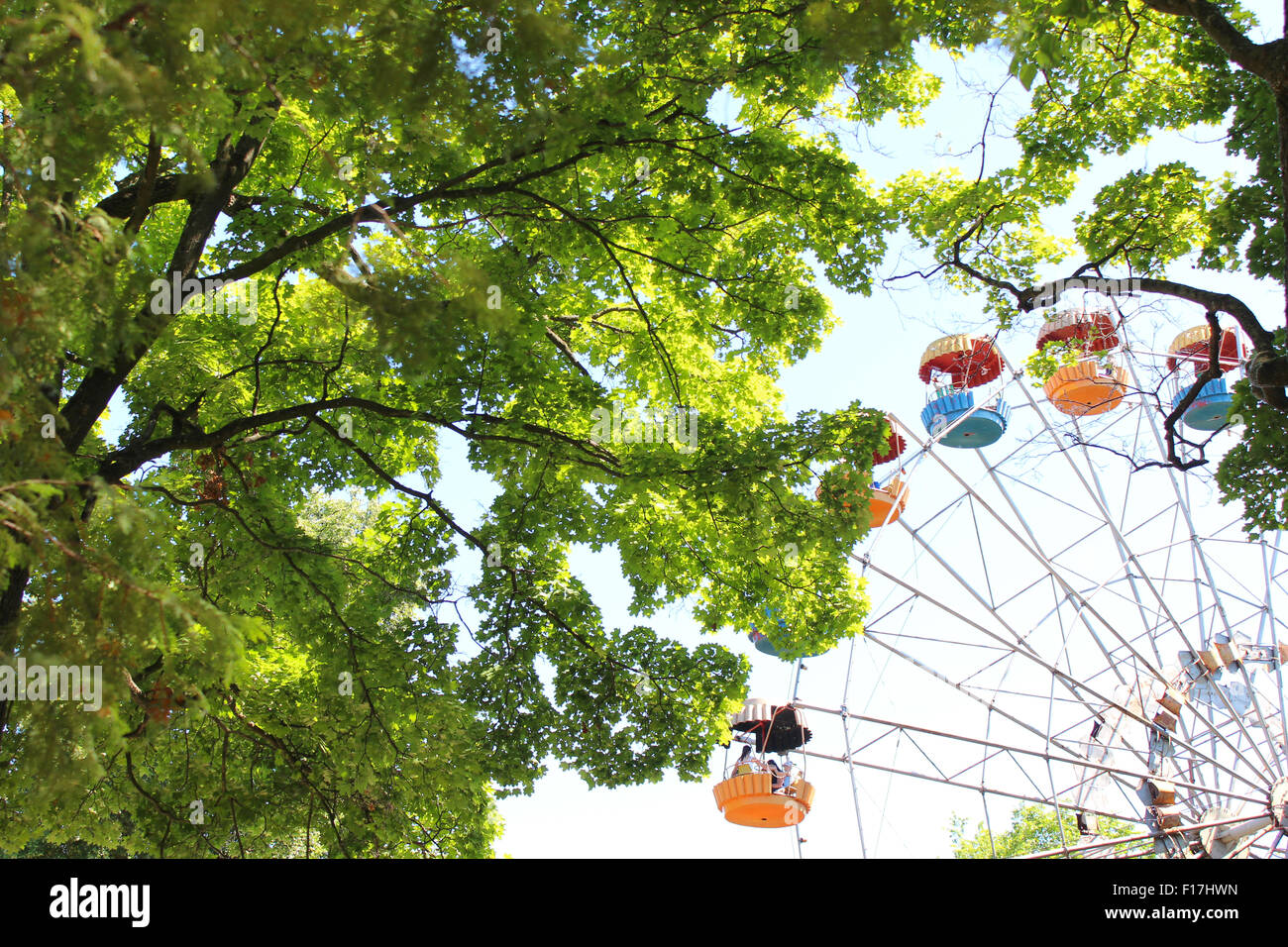 big ferris wheel in the park with trees Stock Photo - Alamy