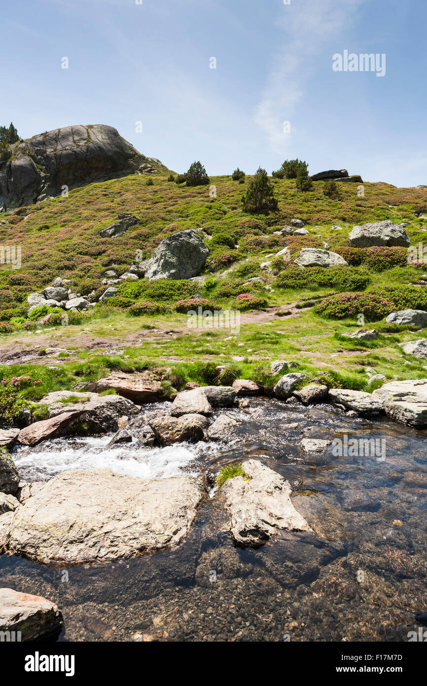 Fresh Water in Pyrenees Stock Photo - Alamy