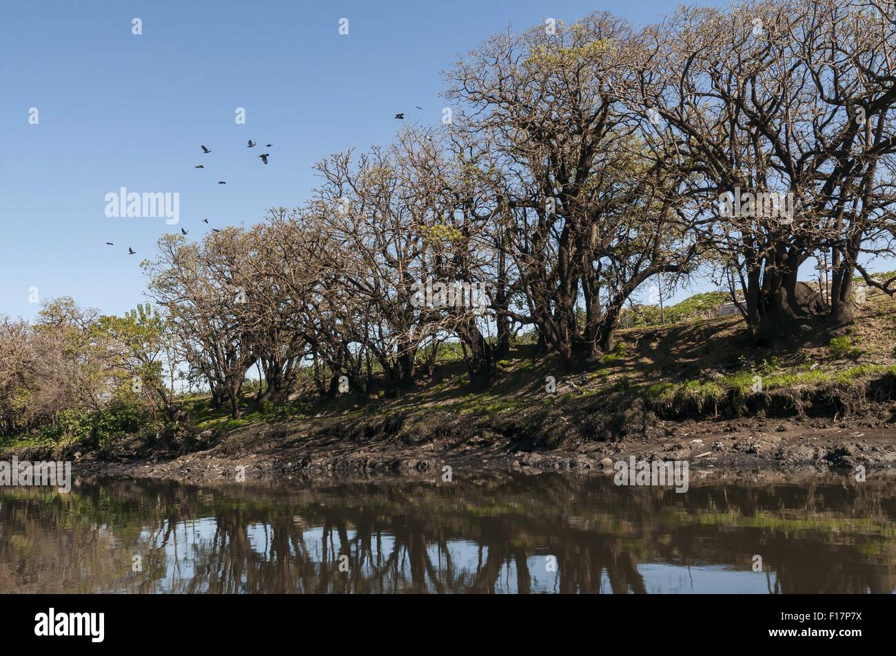 Buenos Aires, Argentina. 27th Aug, 2015. The Matanza River is a 64km ...