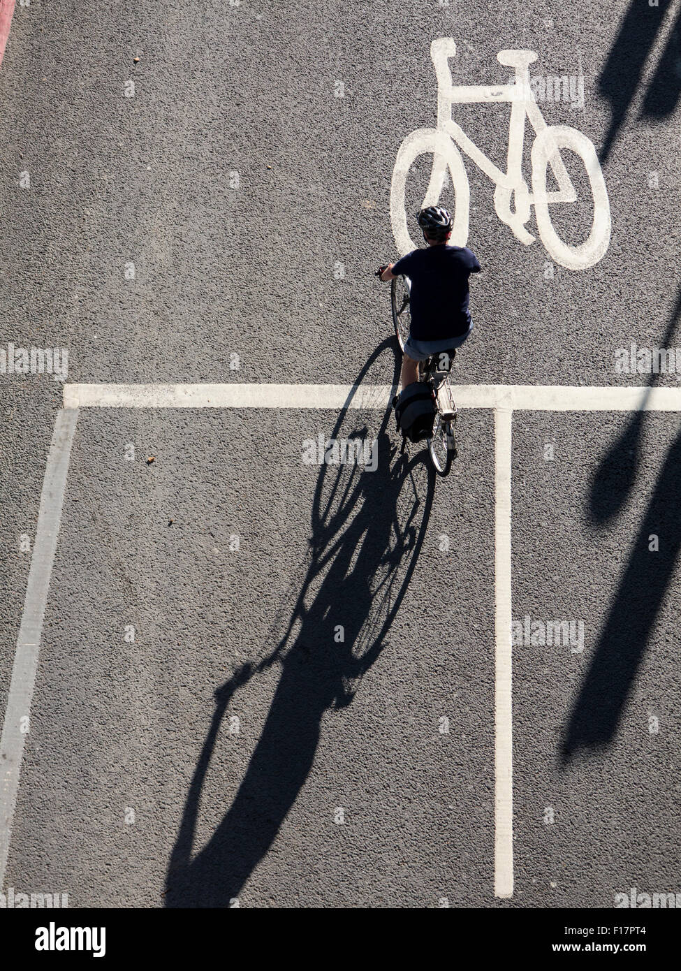 A cyclist at the traffic lights in afternoon sunlight on a busy high ...