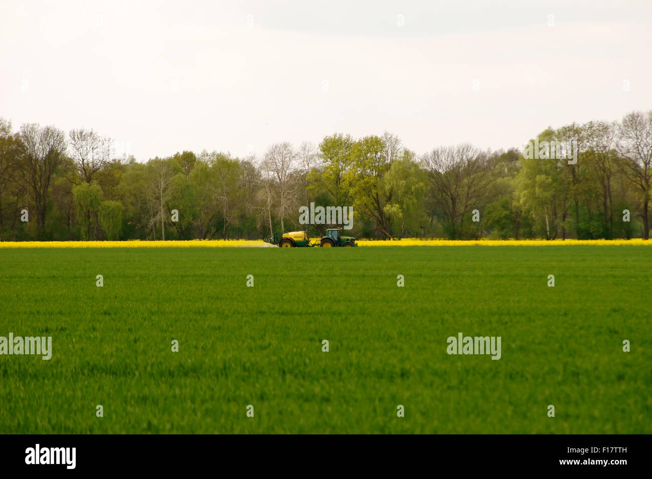 Plant fertilizer hi-res stock photography and images - Alamy