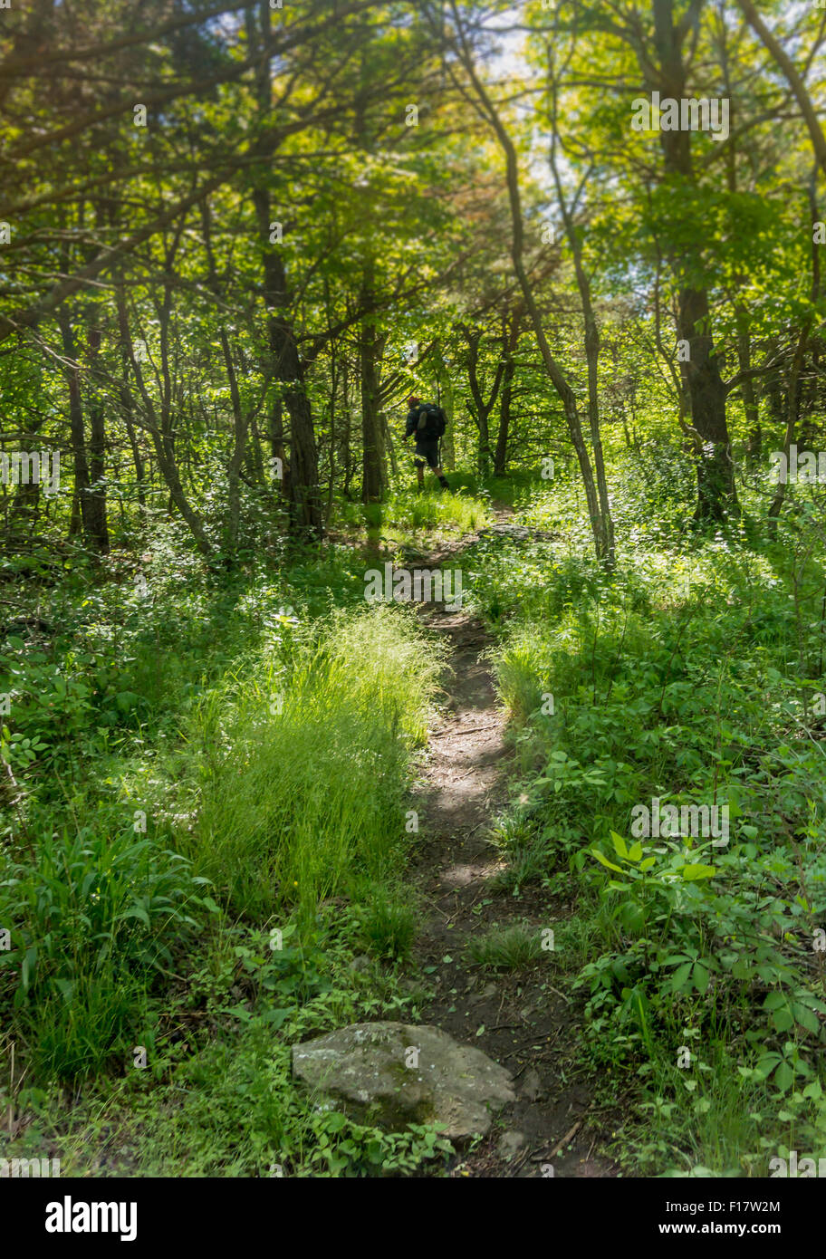 Long distance hiker hi-res stock photography and images - Alamy