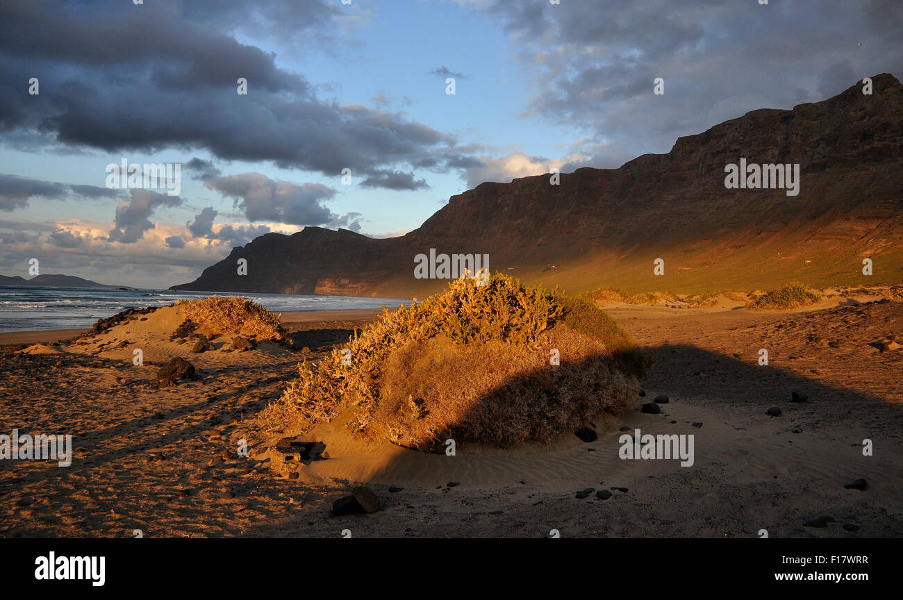 Playa de Famara beach dunes at sunset with clouds and Risco de Famara ...