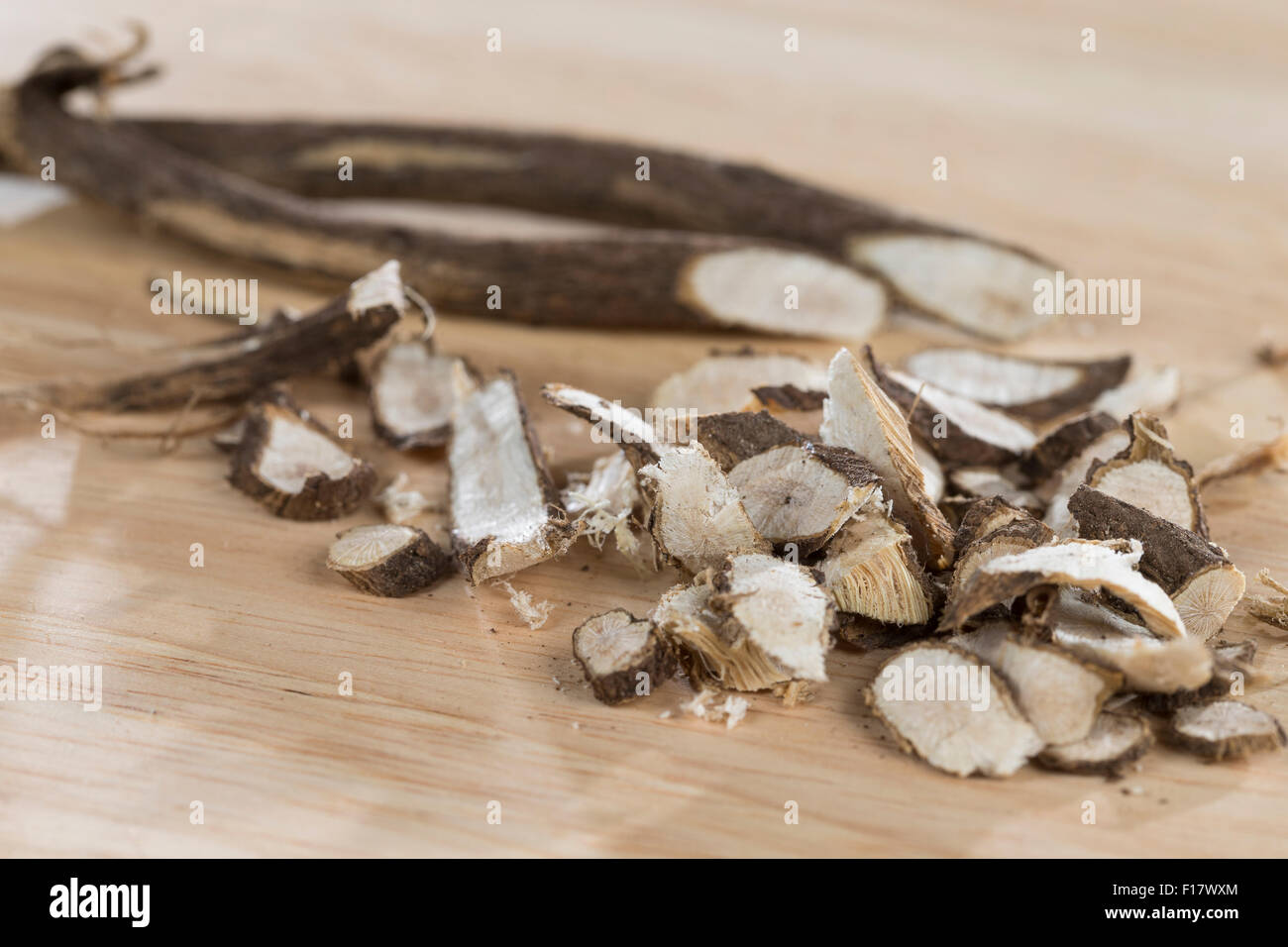 Spiny restharrow, root, Dornige Hauhechel, Dorniger Hauhechel ...